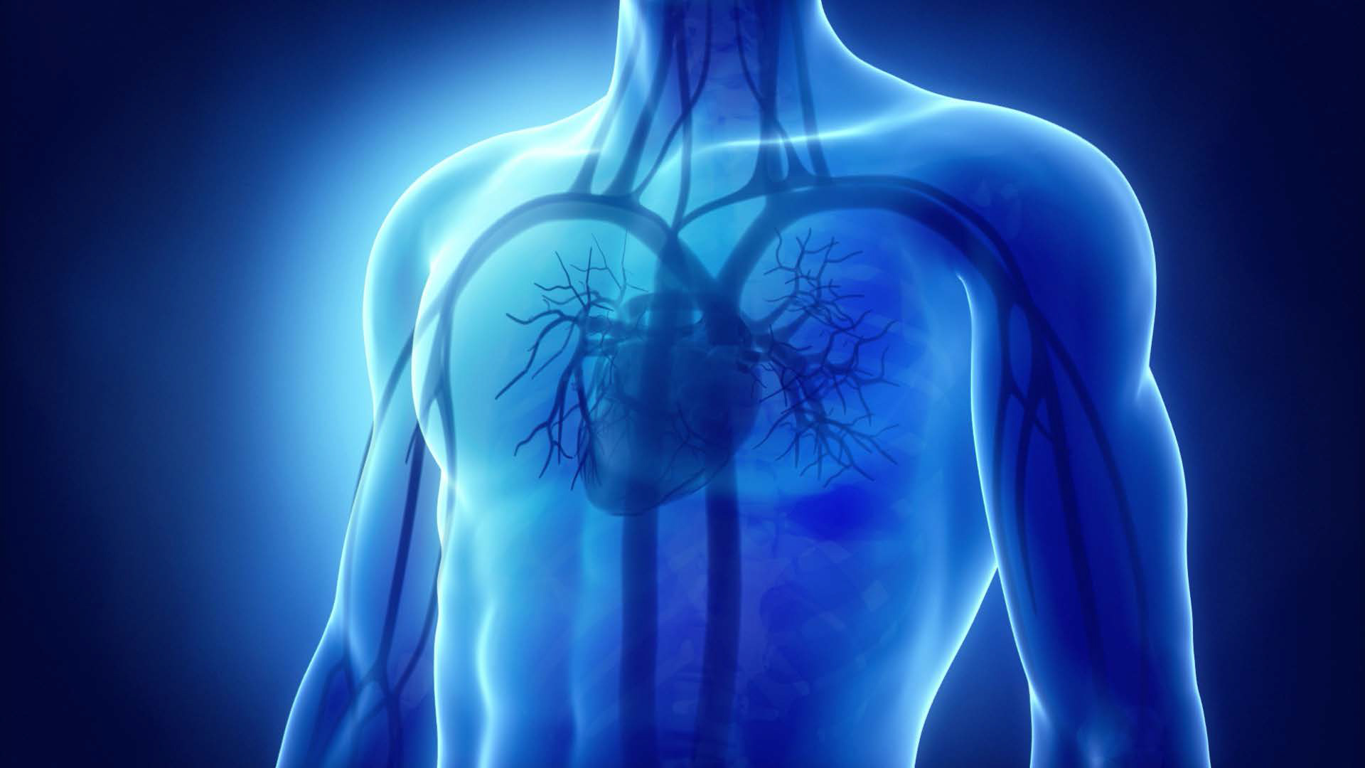 Do Air Purifiers Actually Work? - Wolverine Water Systems