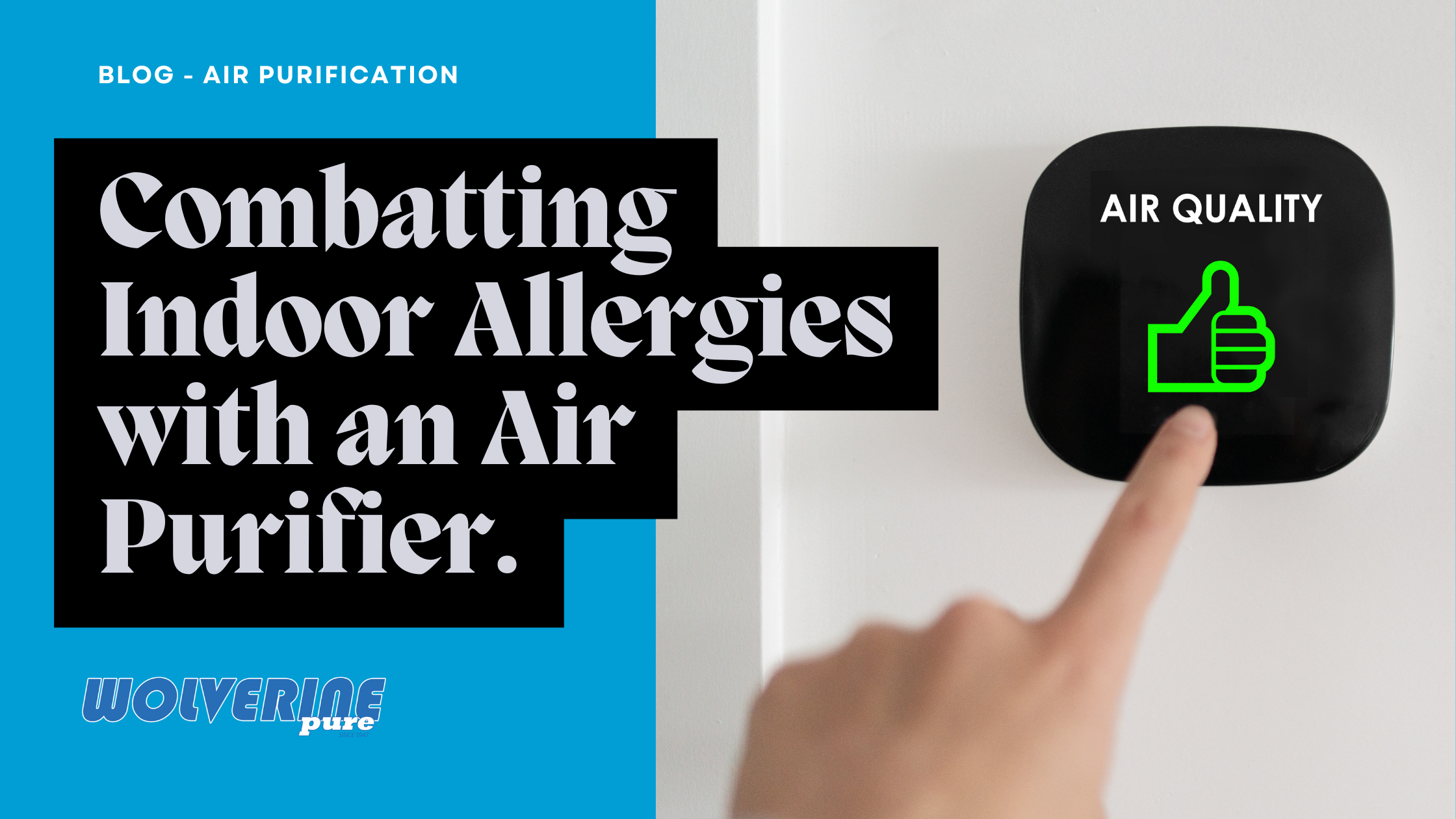 Combatting Indoor Allergies with an Air Purifier - Wolverine Water Systems