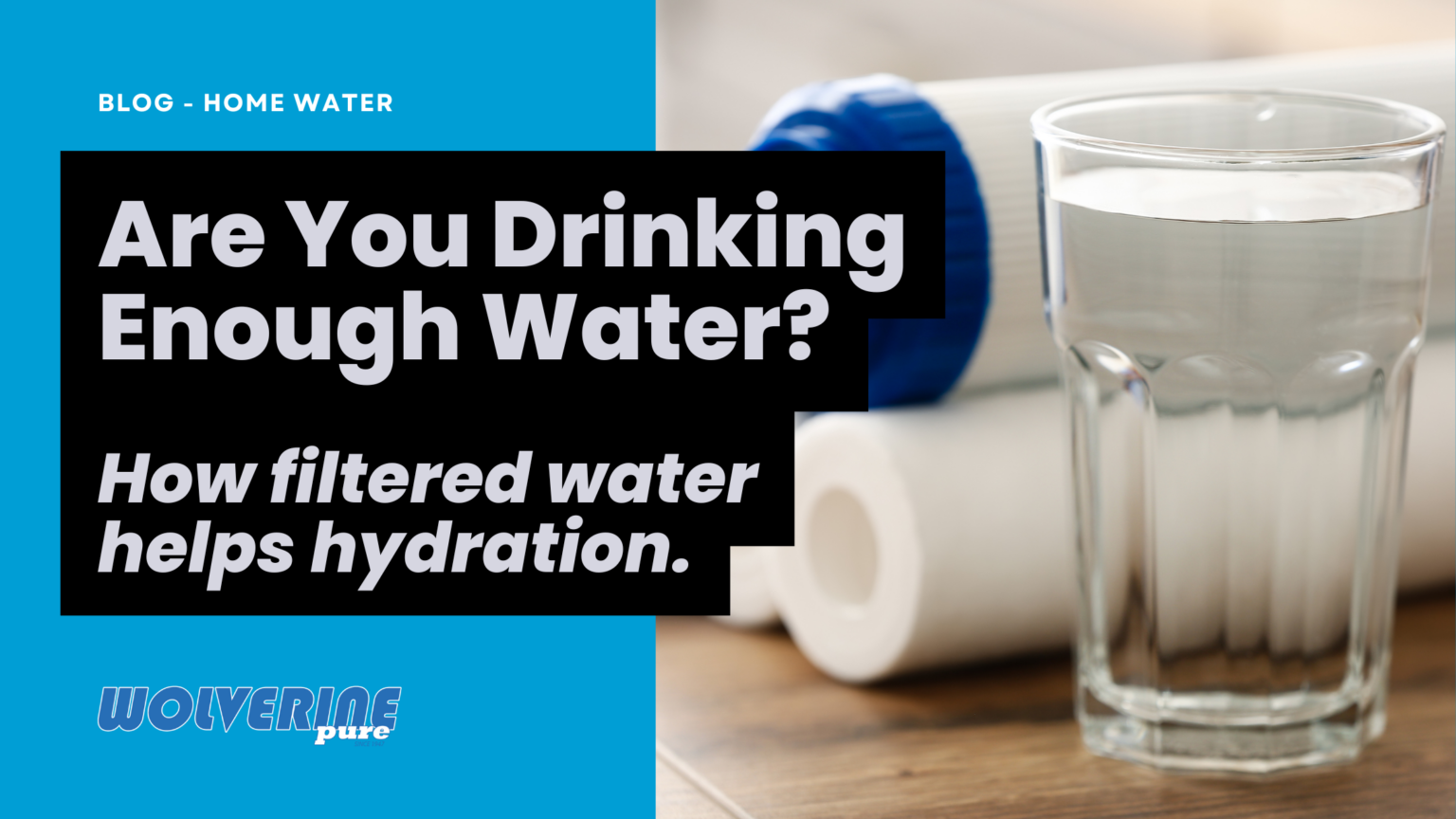 Are You Drinking Enough Water? The Importance of Clean, Filtered Water ...