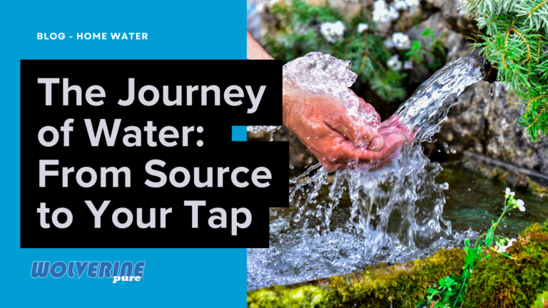 The Journey of Water: From Source to Your Tap - Wolverine Water Systems