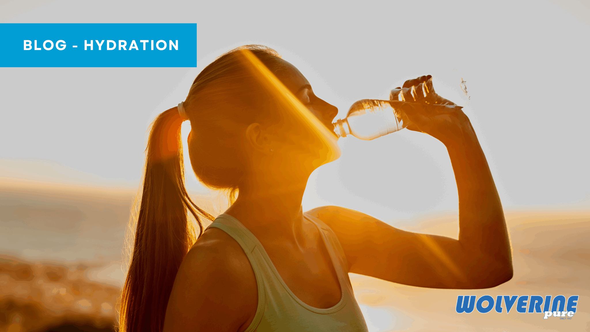 Don’t Ignore Summer Hydration! Is Your Home’s Water Helping or Hurting? - Wolverine Water Systems